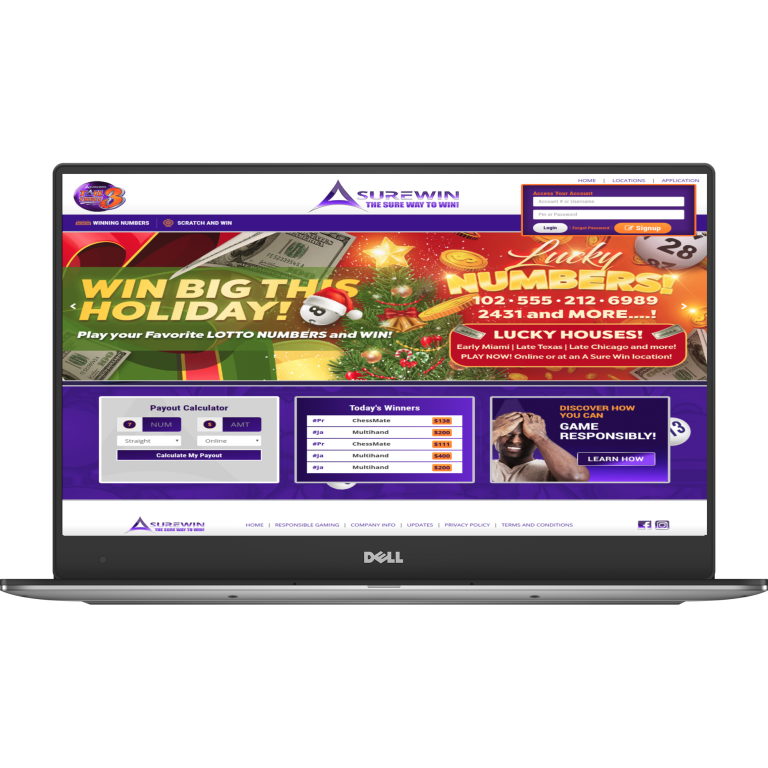 Projects - Svaapta IT-Ally Solutions Pvt Ltd